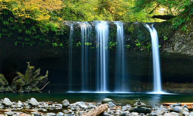 The Bankwalker | A View from the Back Porch